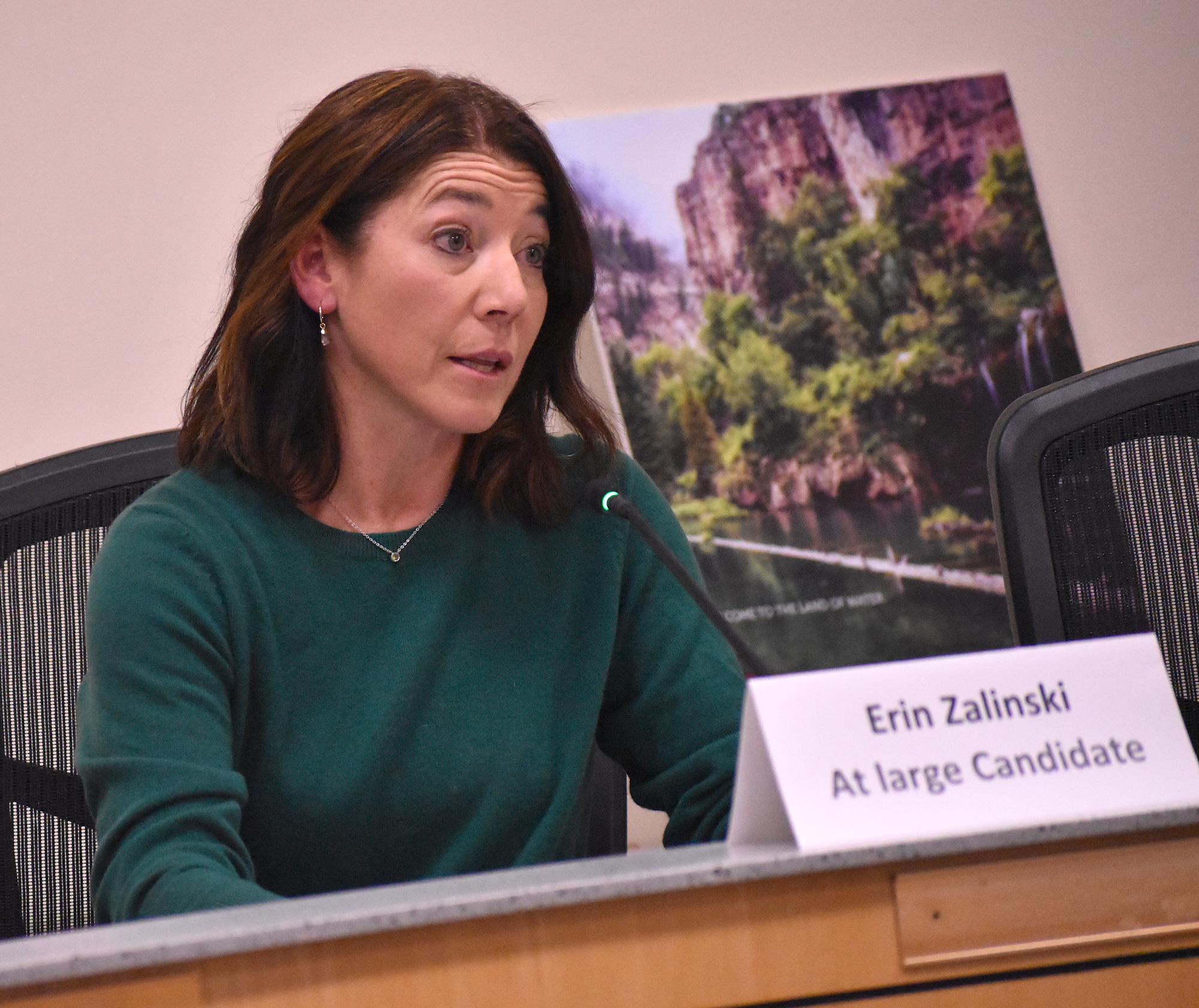 Here’s a snapshot of Monday night’s Glenwood Springs City Council ...
